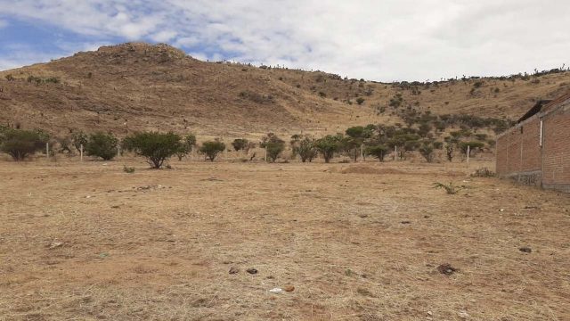 ¿Es legal la venta y compra de terrenos ejidales en México?