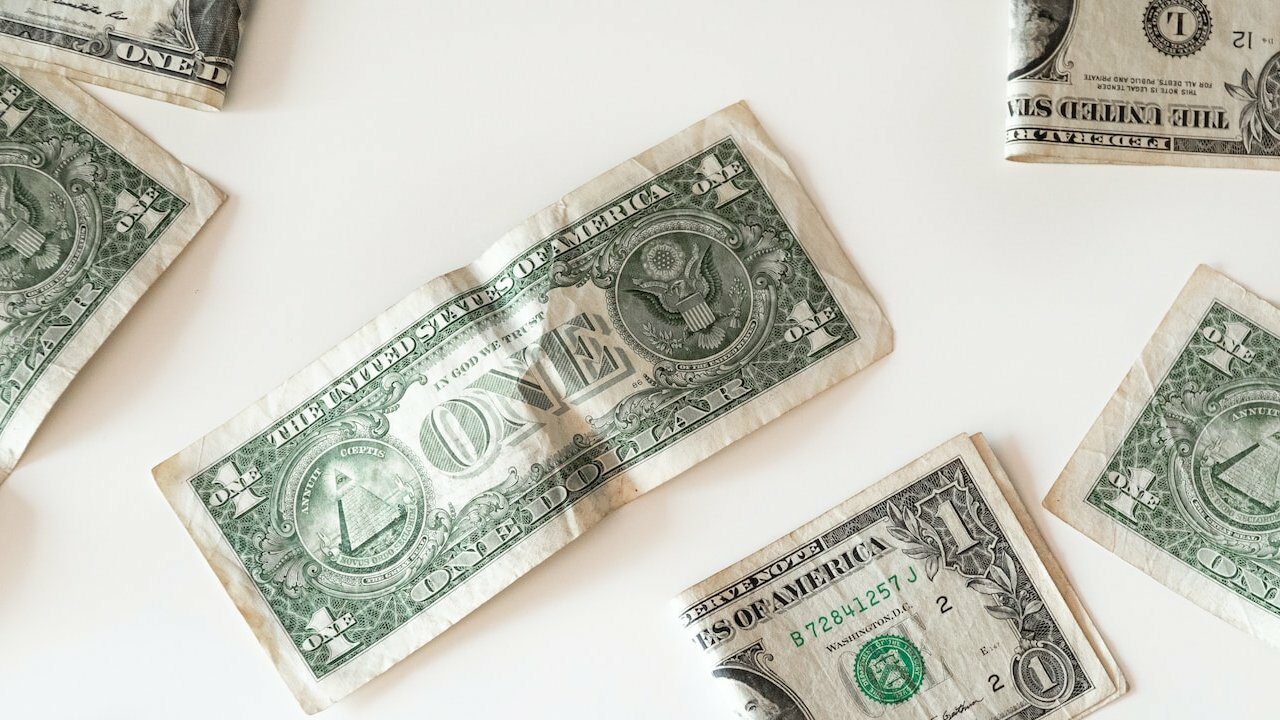 Conoce los diferentes tipos de consumidores que existen