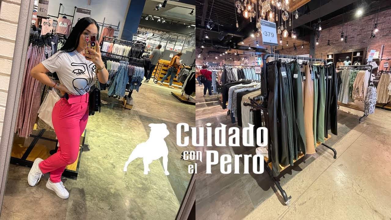 Cuidado con el perro: Conoce al dueño y lo que ha hecho